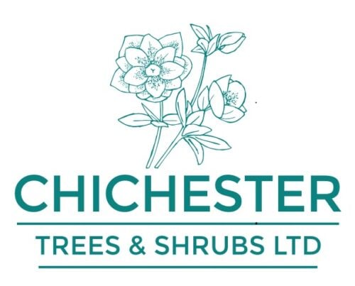 Chichester Trees and Shrubs Case Study - CIM Software